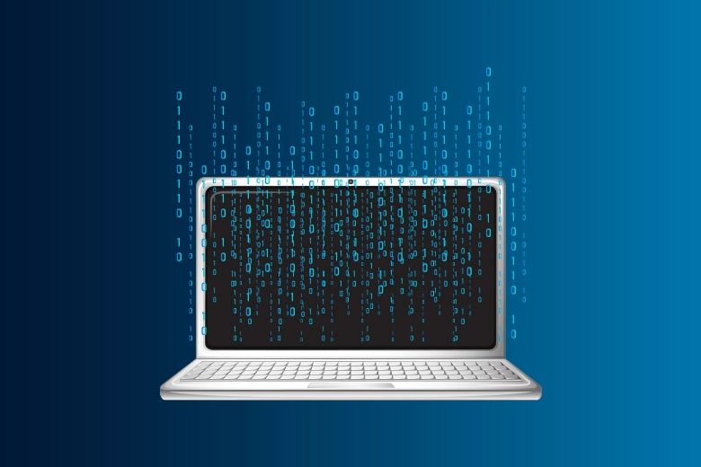 Pinaview Malware Analysis: Defending Against Digital Threats